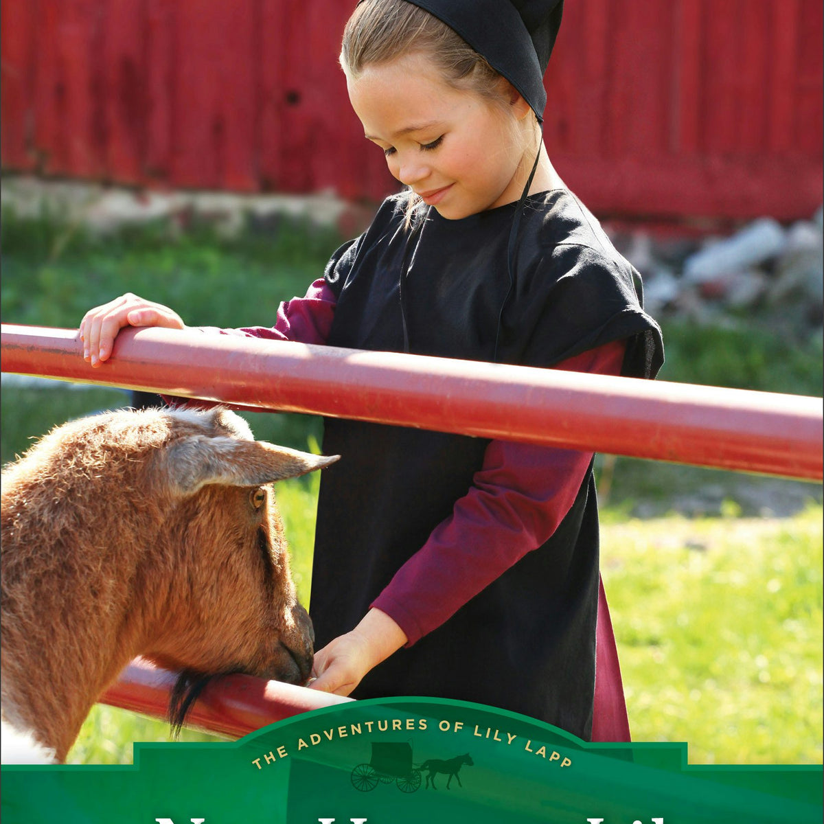 A New Home for Lily – Baker Publishing Group