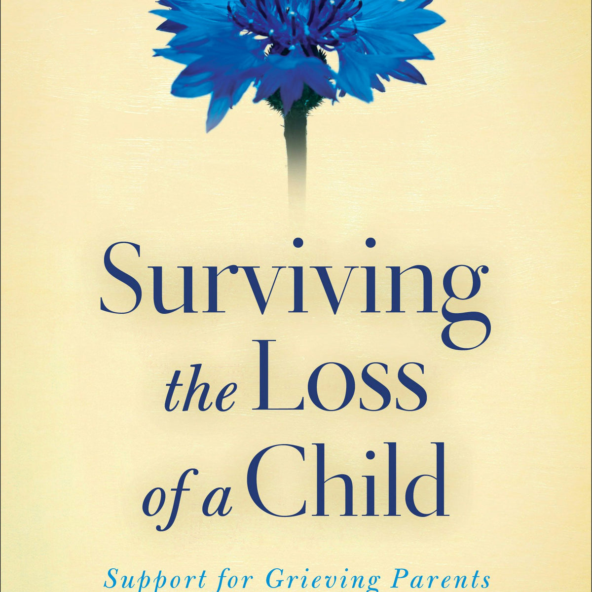 Surviving the Loss of a Child – Baker Publishing Group