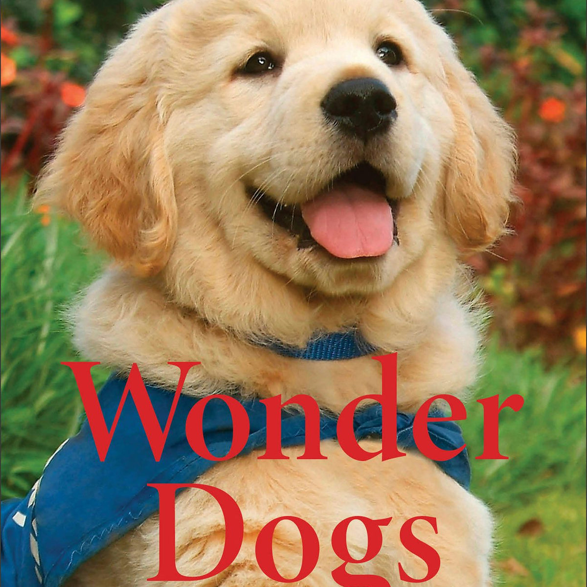 Wonder Dogs – Baker Publishing Group