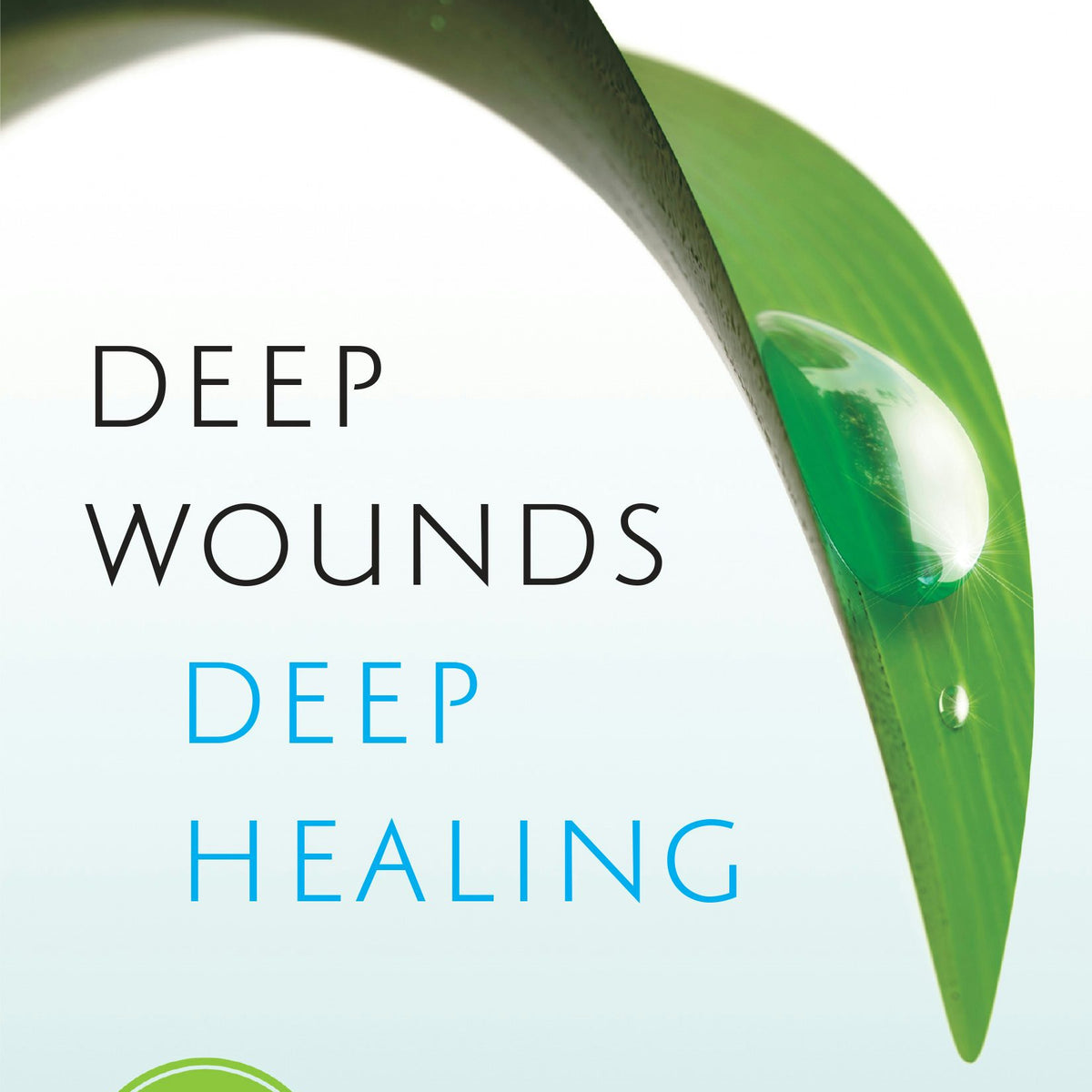 Deep Wounds, Deep Healing – Baker Publishing Group