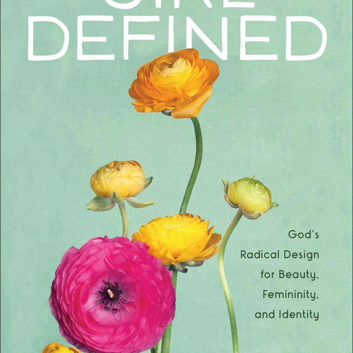 Girl Defined – Baker Publishing Group